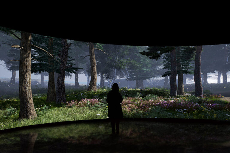 Immersive Environments – Technical Display Systems